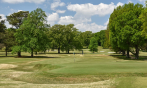 Memphis Country Club: Golfer’s Study in Precision & Tradition